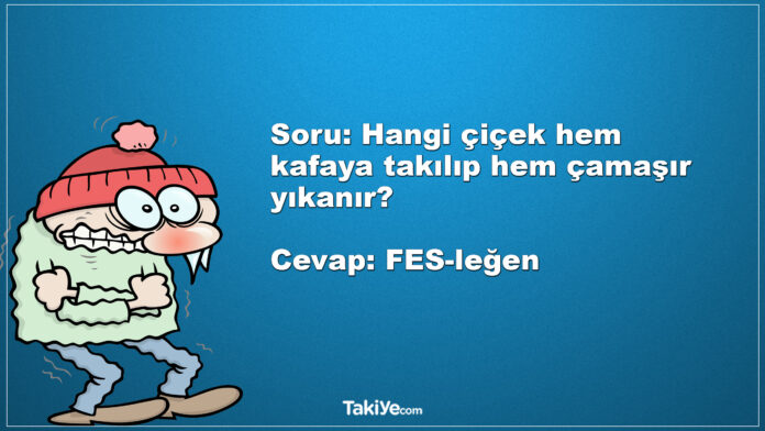 Soğuk Espriler 2024 - Sorulu Cevaplı, En İyi, Komik - Takiye.com