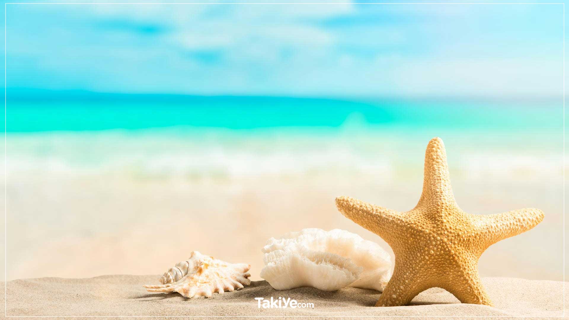 Yaz, Kış, Sonbahar ve İlkbahar Mevsim Ayları Nelerdir? - Takiye.com