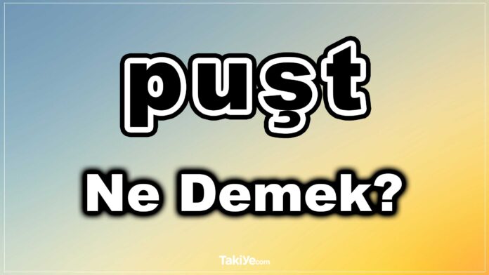 Puşt Ne Demek? Puşt Nedir? Kelime Hangi Anlamda Kullanılır? - Takiye.com