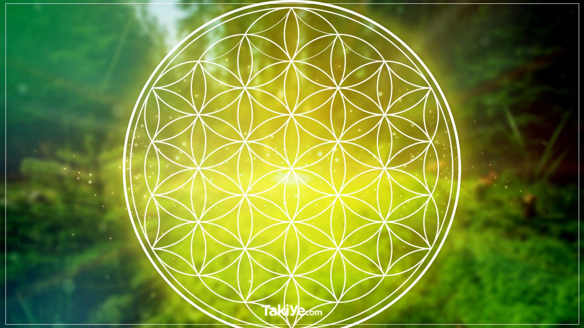 Yaşam Çiçeği Anlamı Nedir: Sembolü, Tasavvuf - Takiye.com