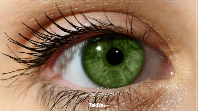 Yeşil Göz Hakkında En Şaşırtıcı Gerçekler! - Takiye.com