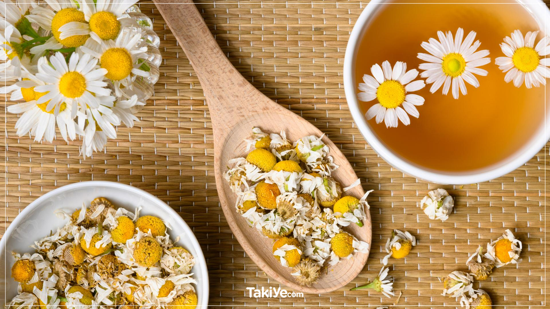 Hamileyken Papatya Çayı İçilir mi? Yan Etkisi Var mı? - Takiye.com