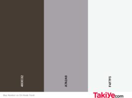 Gri ile Uyumlu Renkler: Griyle Uyan Renk Kombinasyonları - Takiye.com