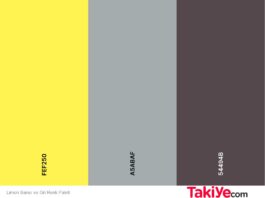 Gri ile Uyumlu Renkler: Griyle Uyan Renk Kombinasyonları - Takiye.com