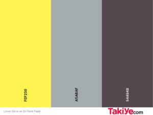 Gri ile Uyumlu Renkler: Griyle Uyan Renk Kombinasyonları - Takiye.com
