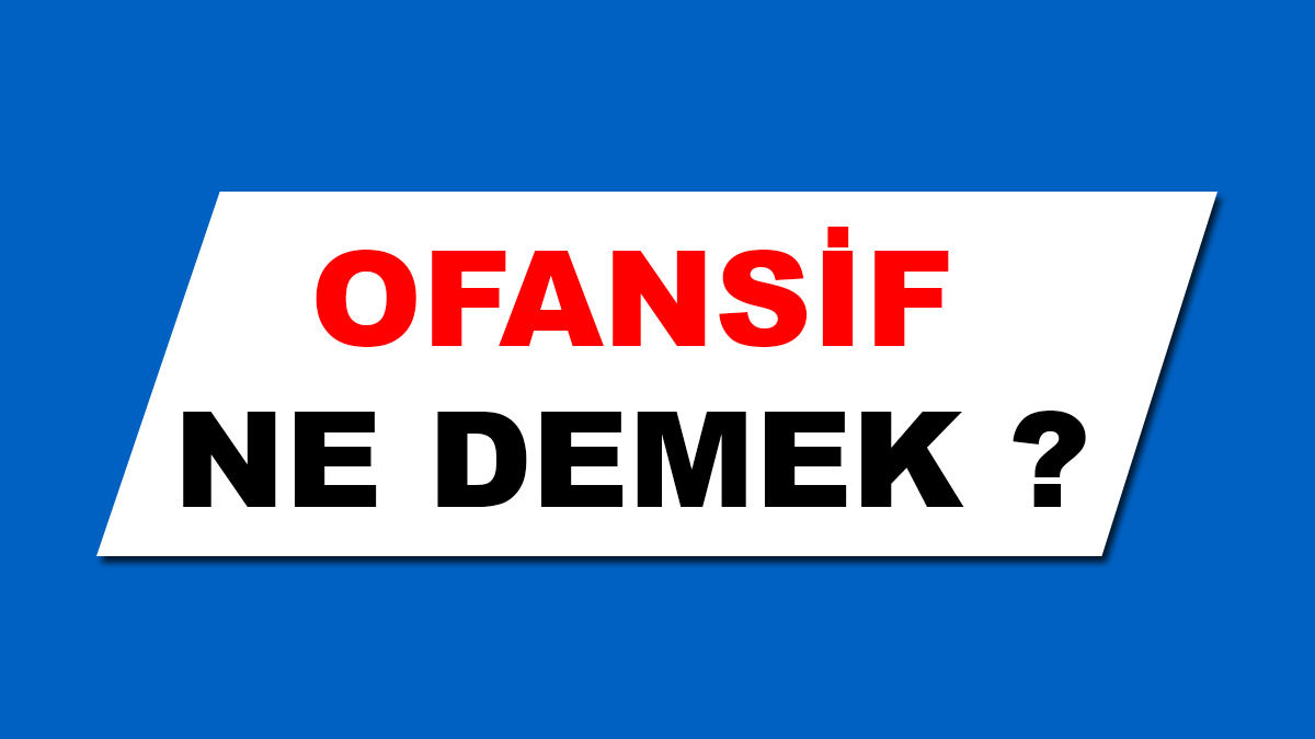 Ofansif Ne Demek Ofansif Mizah Anlam Nedir Takiye