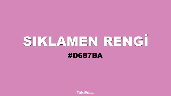 Sıklamen Çiçeği Bakımı Nasıldır? Sıklamen Rengi Bilgileri! - Takiye.com